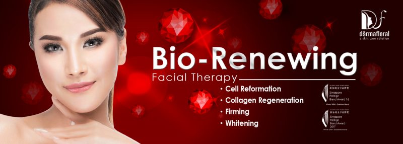 No products in the cart.